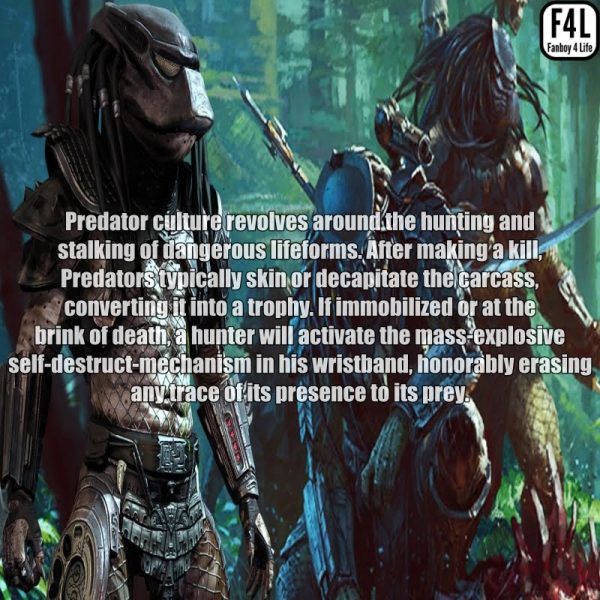The Predator (Yautja): 20 Thrilling Facts - Fanboy 4 Life