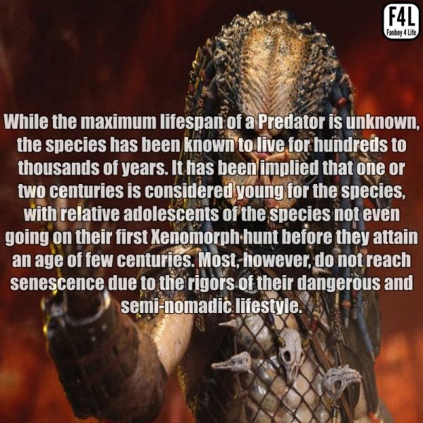 The Predator (Yautja): 20 Thrilling Facts - Fanboy 4 Life