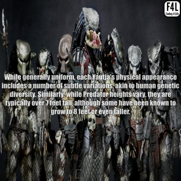 The Predator (Yautja): 20 Thrilling Facts - Fanboy 4 Life