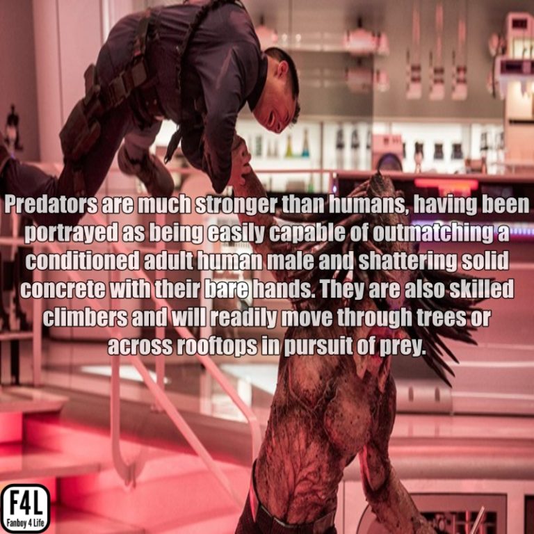 The Predator (Yautja): 20 Thrilling Facts - Fanboy 4 Life