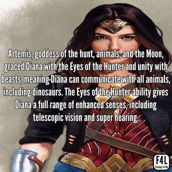 Wonder Woman Facts: 30 Incredible Details - Fanboy 4 Life