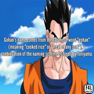 Gohan: 15 Awesome Facts - Fanboy 4 Life