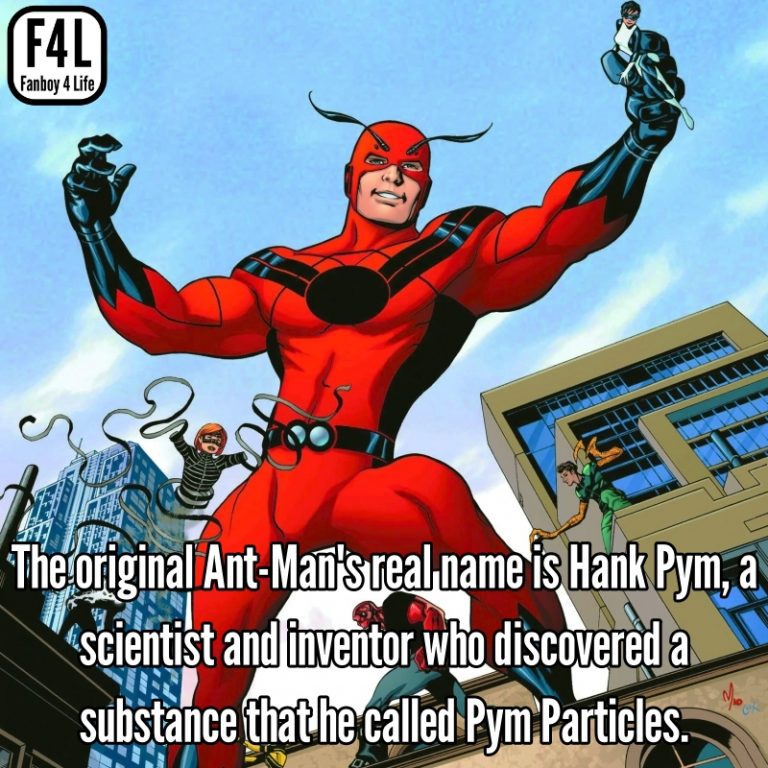 Tiny Facts About Ant-Man – Ant Colony Hierarchy and Life Cycle ...