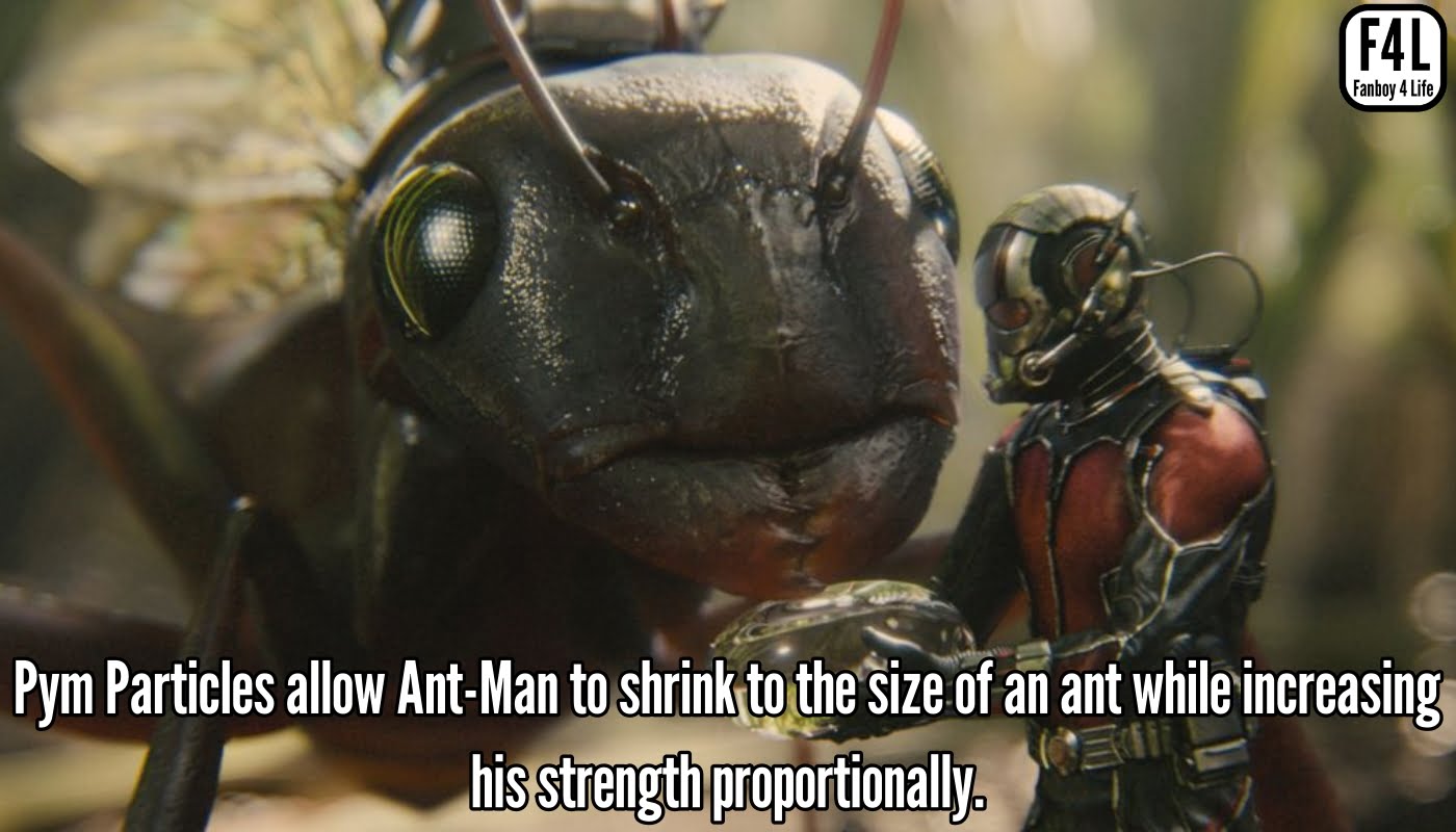 20 Amazing Ant-Man Facts - Fanboy 4 Life